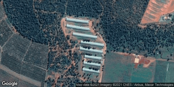 Unknown Poultry Farm, Griffith NSW, Australia - Farm Transparency ...