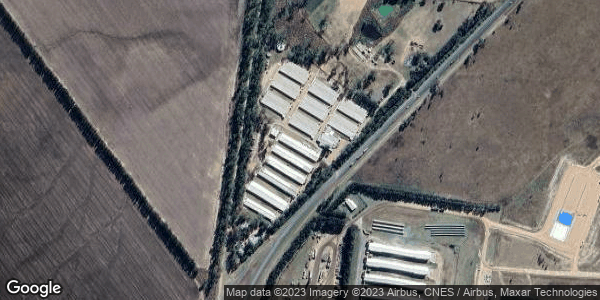 DA Hall & Co, Yandilla QLD, Australia - Farm Transparency Project (FTP ...