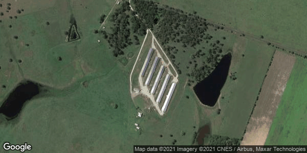 Mountain View Poultry - Breeder 2, Stony Creek QLD, Australia - Farm ...