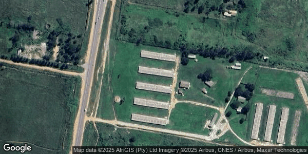 Rainbow Chickens, Blue Hills 397-Jr GP, South Africa - Farm ...