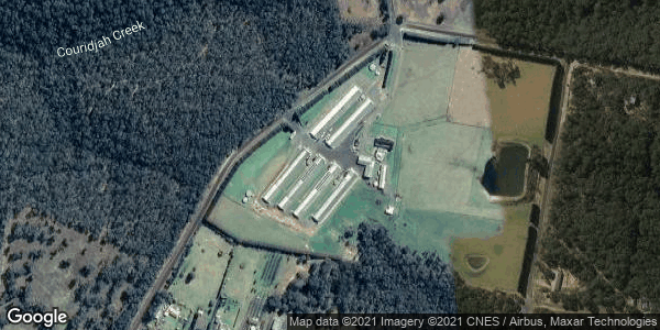 Springhill - Ingham Turkey Farm, Lakesland NSW, Australia - Farm ...