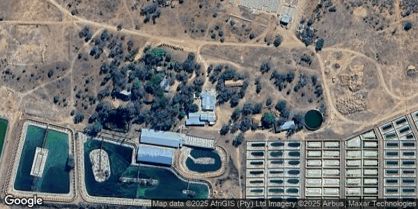 Mfuleni Crocodile Farm, LP, South Africa - Farm Transparency Project ...