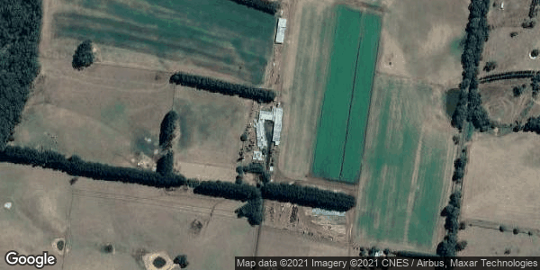 Bambara - unknown type, Trentham VIC, Australia - Farm Transparency ...