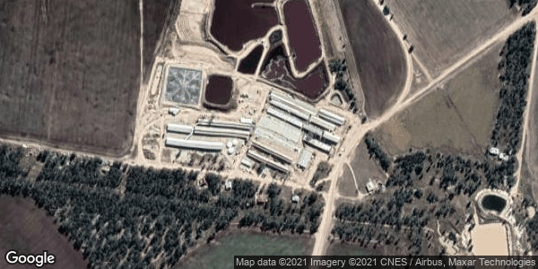 Lapunyah Piggery, Lundavra QLD, Australia - Farm Transparency Project ...