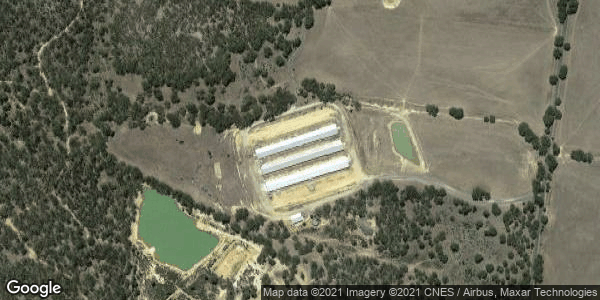 Kinross egg farm, Carisbrook VIC, Australia - Farm Transparency Project ...