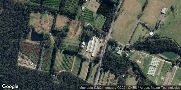 Submit information about Unknown - poultry?, Peats Ridge NSW, Australia ...