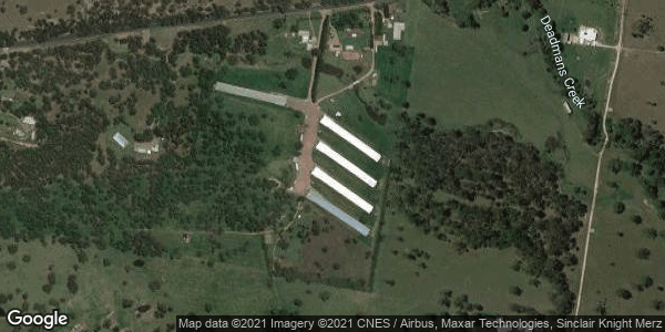 Rago (Steggles), Seaham NSW, Australia - Farm Transparency Project (FTP ...