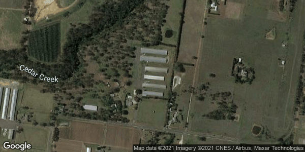 Ingham Turkey Farm, Thirlmere NSW, Australia - Farm Transparency ...