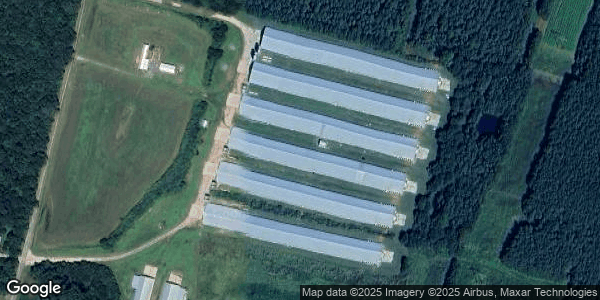 Videos from THOMAS ALLEN DAVIS JR / LITTLE BRUDDER FARM, Pocomoke City ...