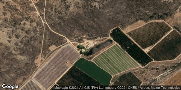 Submit information about Ansu Boerboel & Jack russells, WC, South ...