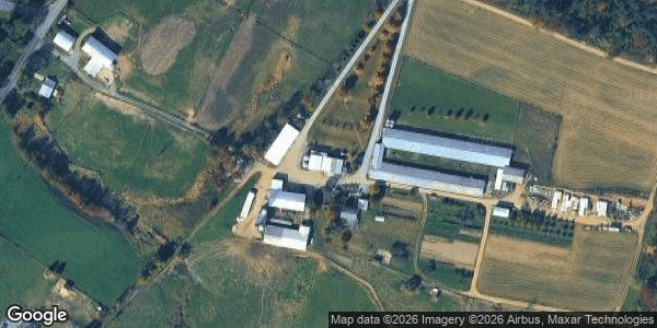 Submit information about Siegrist Saint Bernards and American Eskimos ...