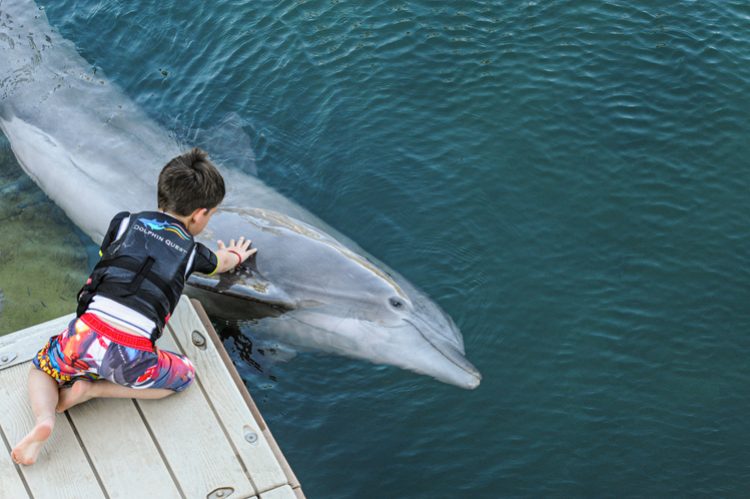 A Life Sentence - Marine Animals in Captivity - Editorial - Farm ...