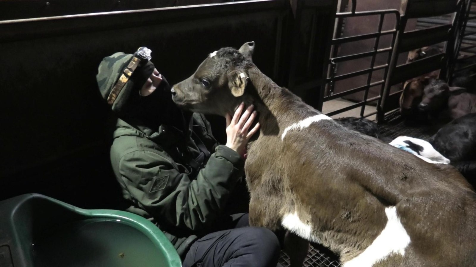 Felix's Story - Investigator Diary - Farm Transparency Project (FTP ...