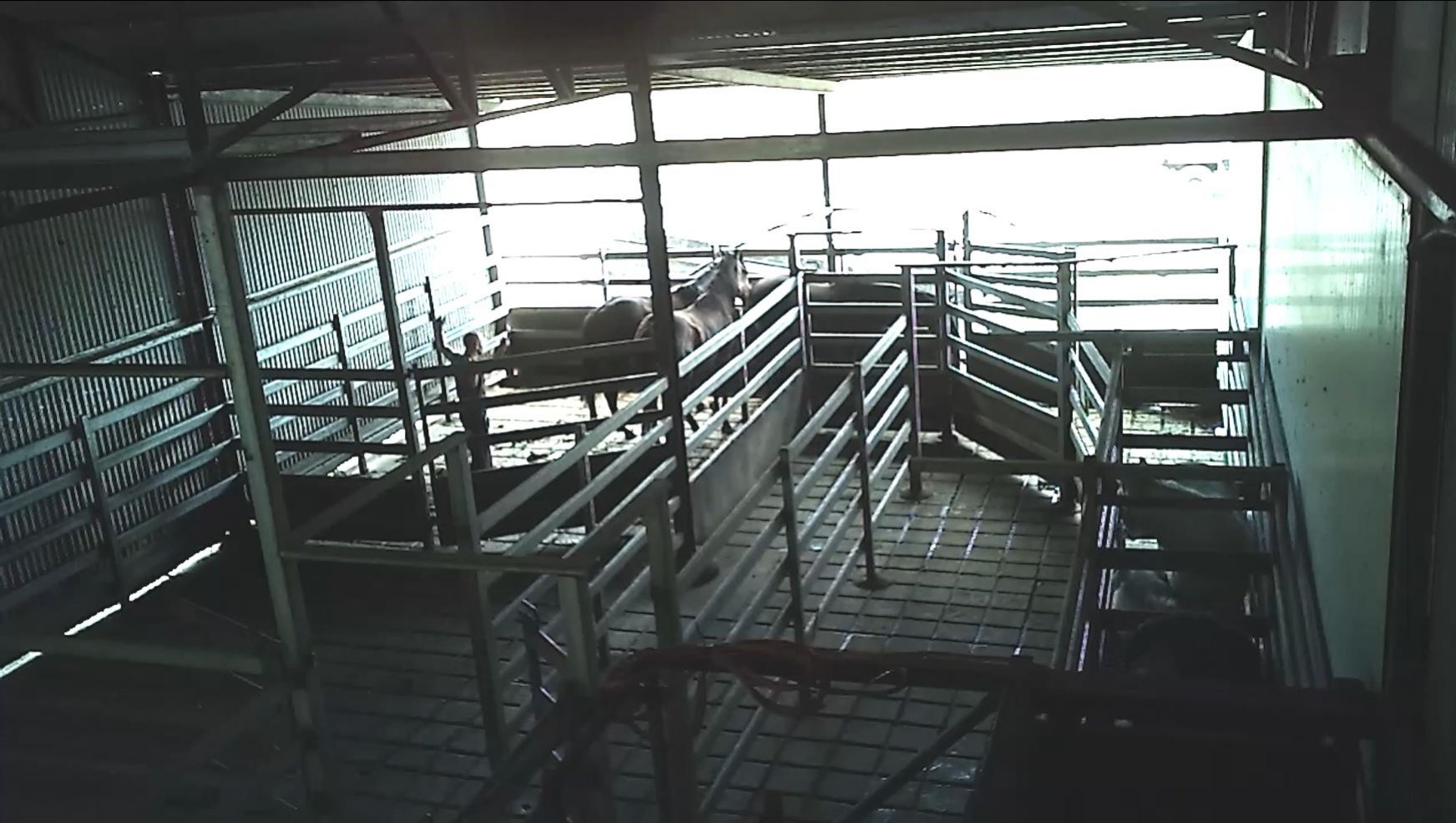 The Finish Line (Part 2): NSW racing's retirement plan - Campaigns ...