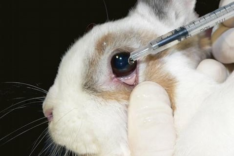 Cosmetic Testing - Knowledgebase - Farm Transparency Project (FTP ...