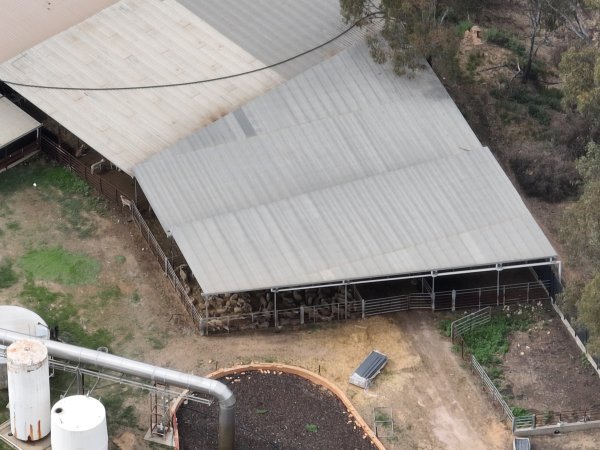 Gallery - Farm Transparency Project | Australian animal protection charity